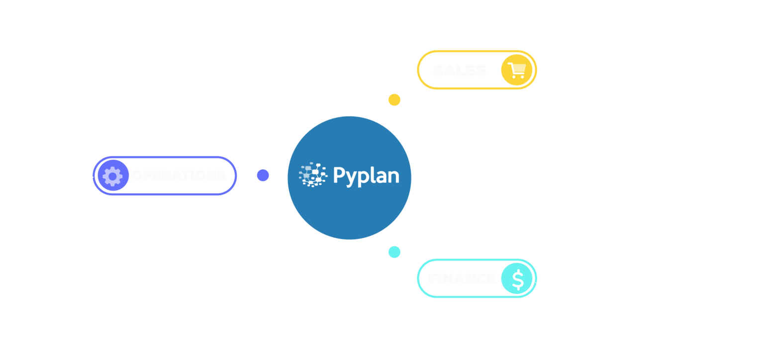 Learn Why Pyplan Is The Best Planning Solution For Your Company